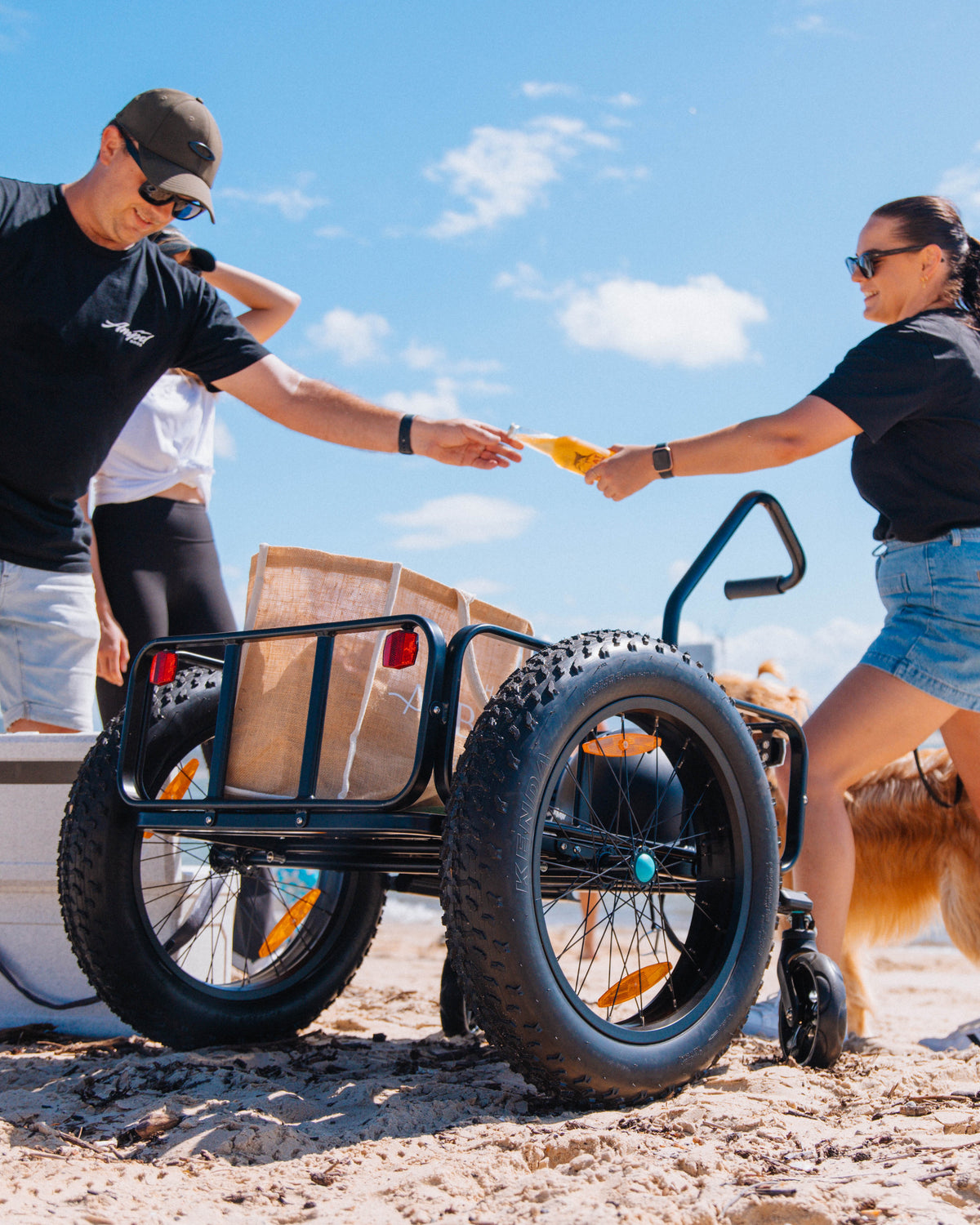 Deluxe Cargo Fat Tyre Bike Trailer – Ampd Brothers Electric