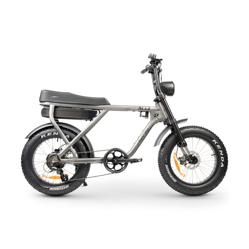 ACE-X Plus Fat Tyre 2 Seat Cruiser Electric Bike – Ampd Bros Electric Bikes