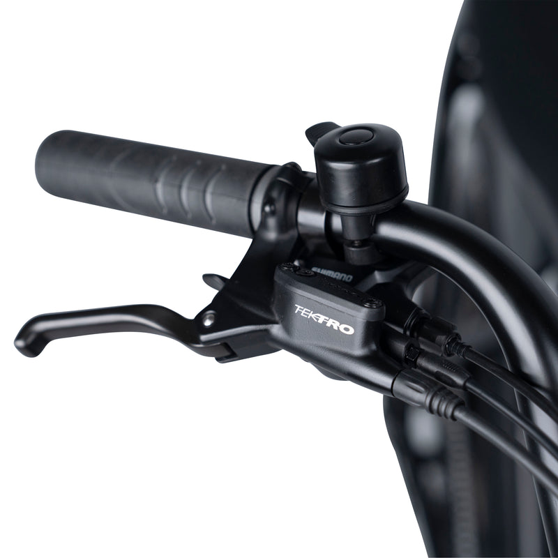 ACE-X Plus Fat Tyre 2 Seat Cruiser Electric Bike – Ampd Bros Electric Bikes