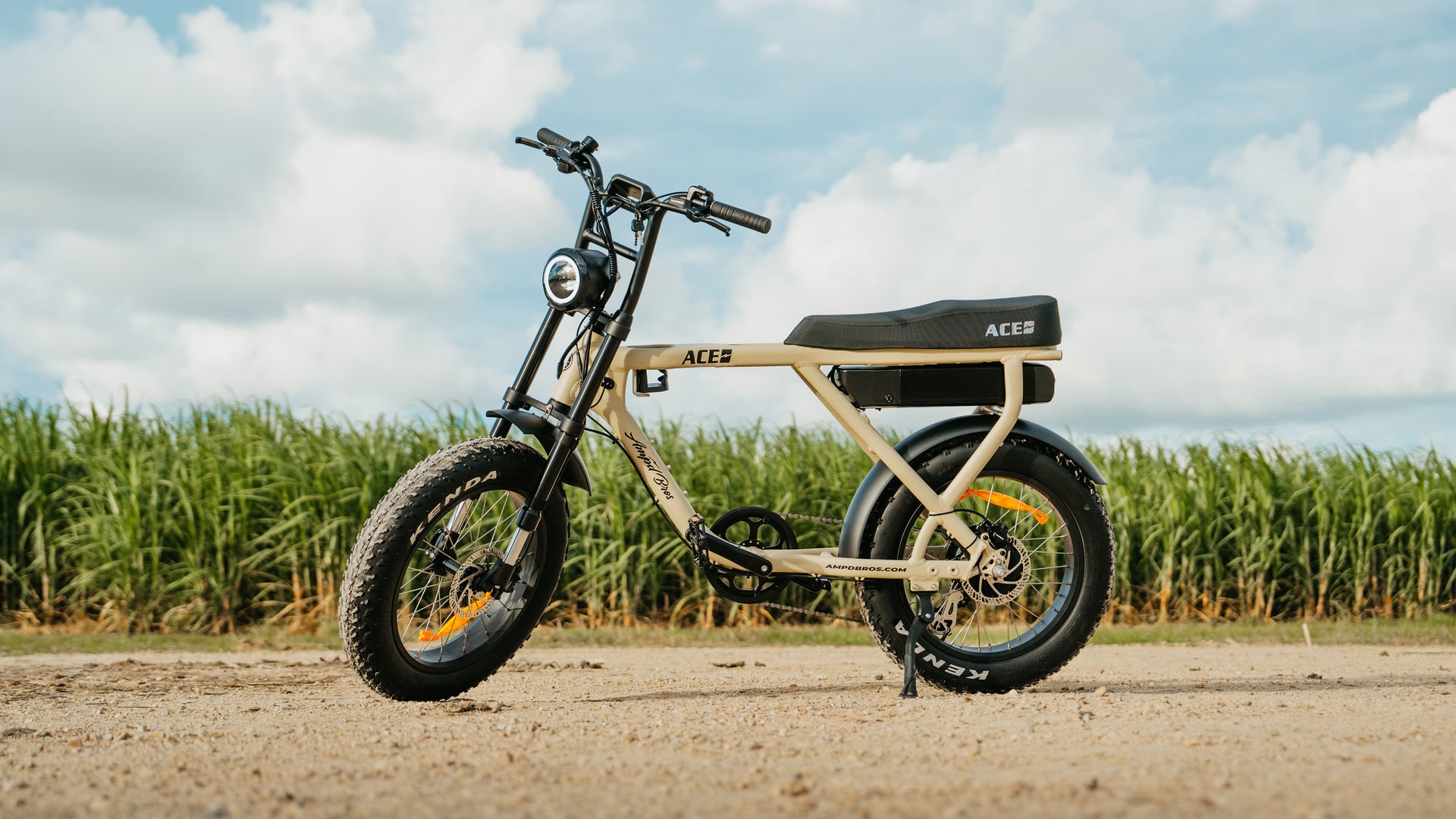 ACE-X Plus 2 Seat Fat Tyre Electric Cruiser Bike – Powerful All Terrain ...